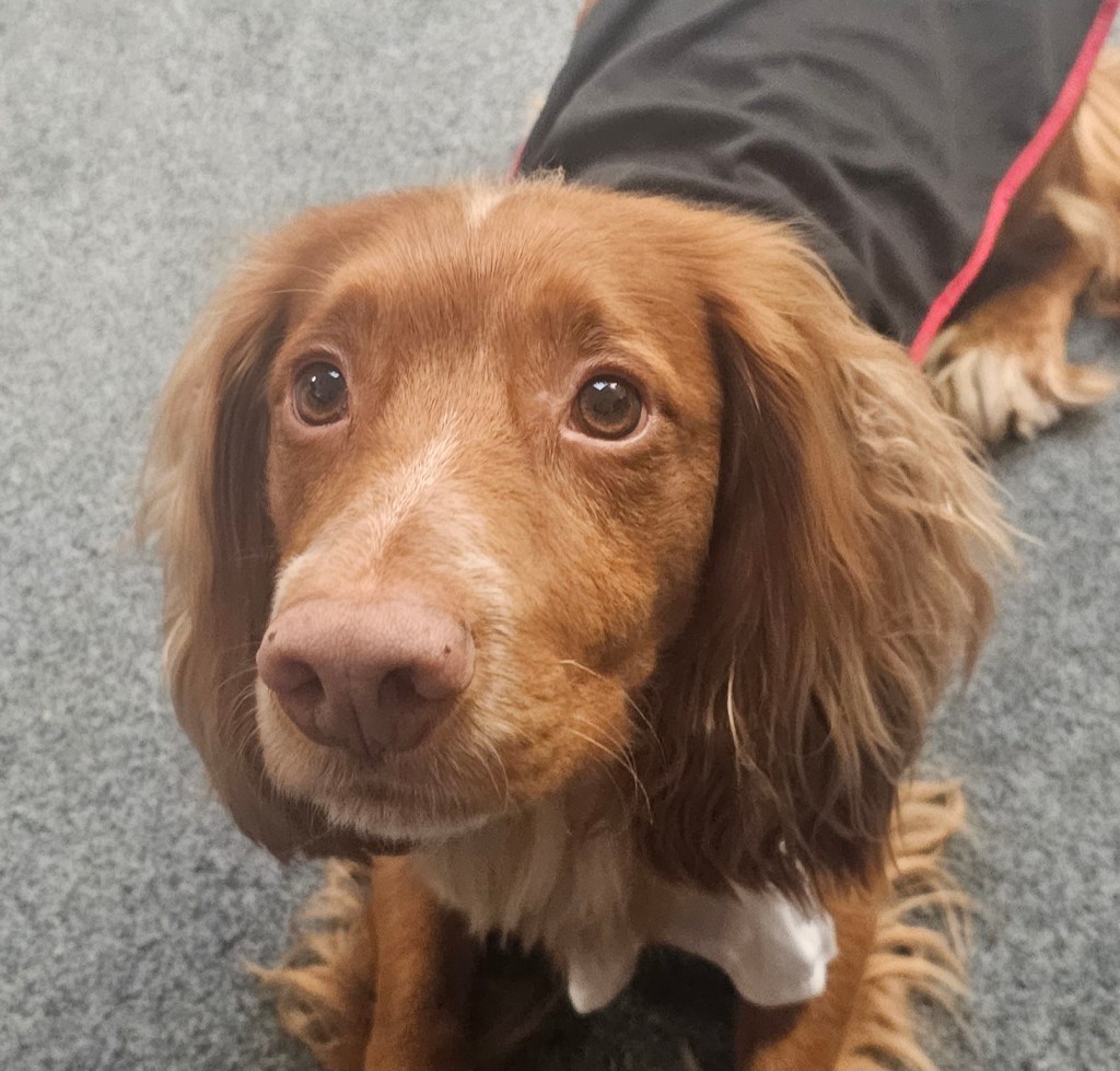 About Us – muranda electrical solutions