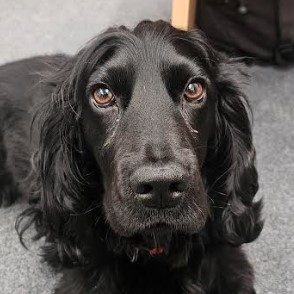 About Us – muranda electrical solutions